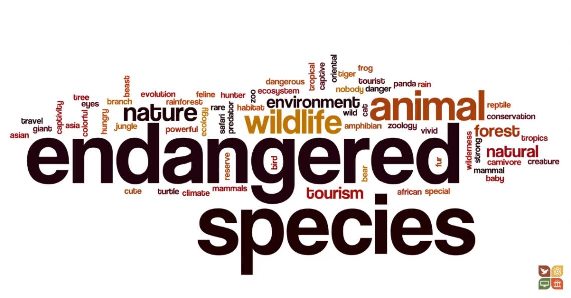 Endangered Species Act Rules Revisited as Federal and State Protections ...
