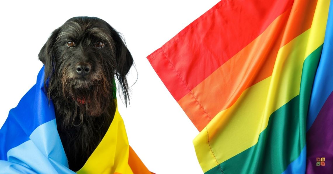 Pride Was Not Born Polite: The History Behind a Movement That Refused ...